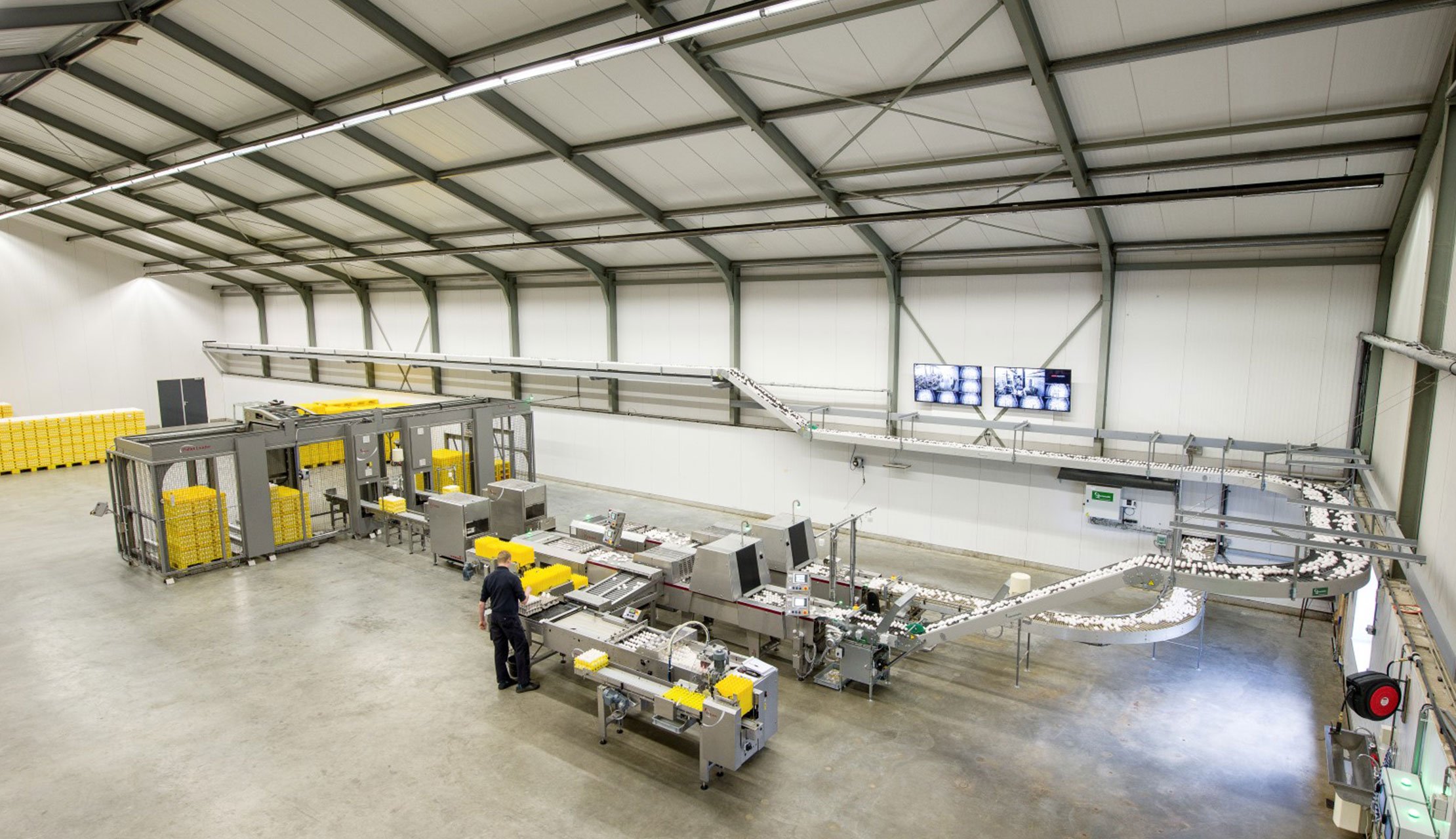 Meggsius Select - Vencomatic Group